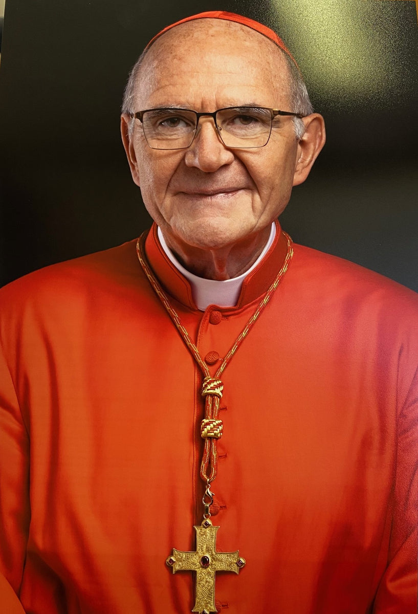 PICTURE CARDINAL BRISLIN A4 – The Catholic Bookshop